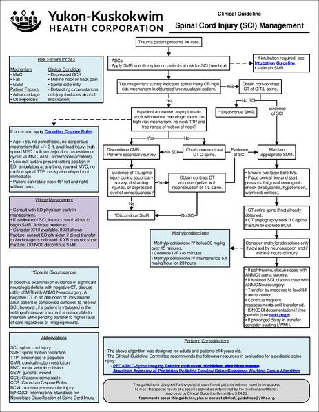 File:Spinal cord injury.pdf - Guide to YKHC Medical Practices